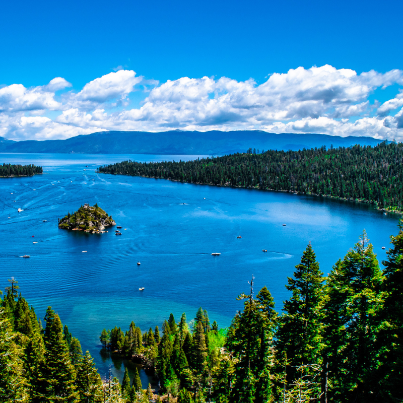 EMDR Basic Training - Live Online